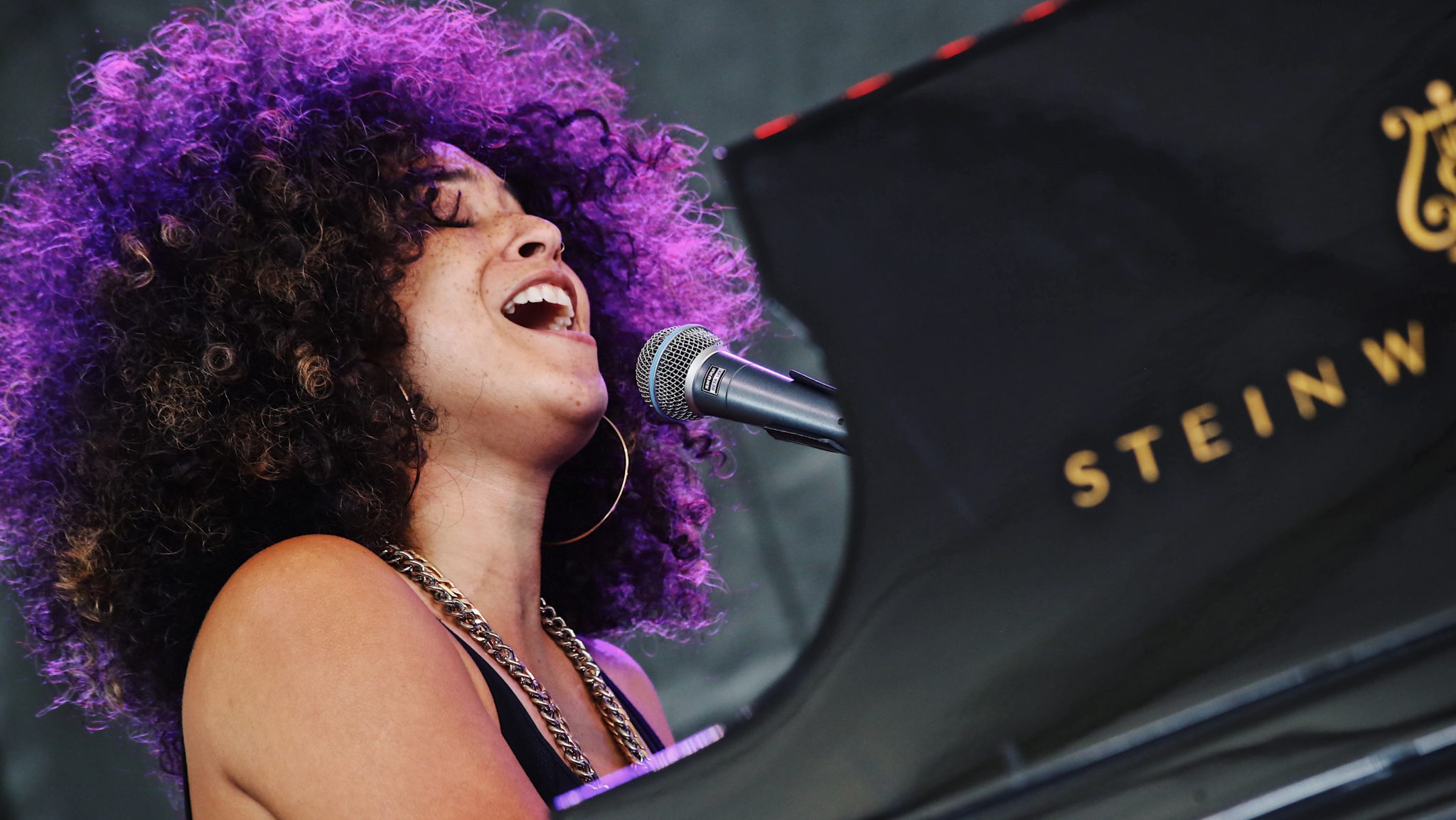 2019 Newport Jazz Festival Excels with Musical Diversity - ArtSparksMusic